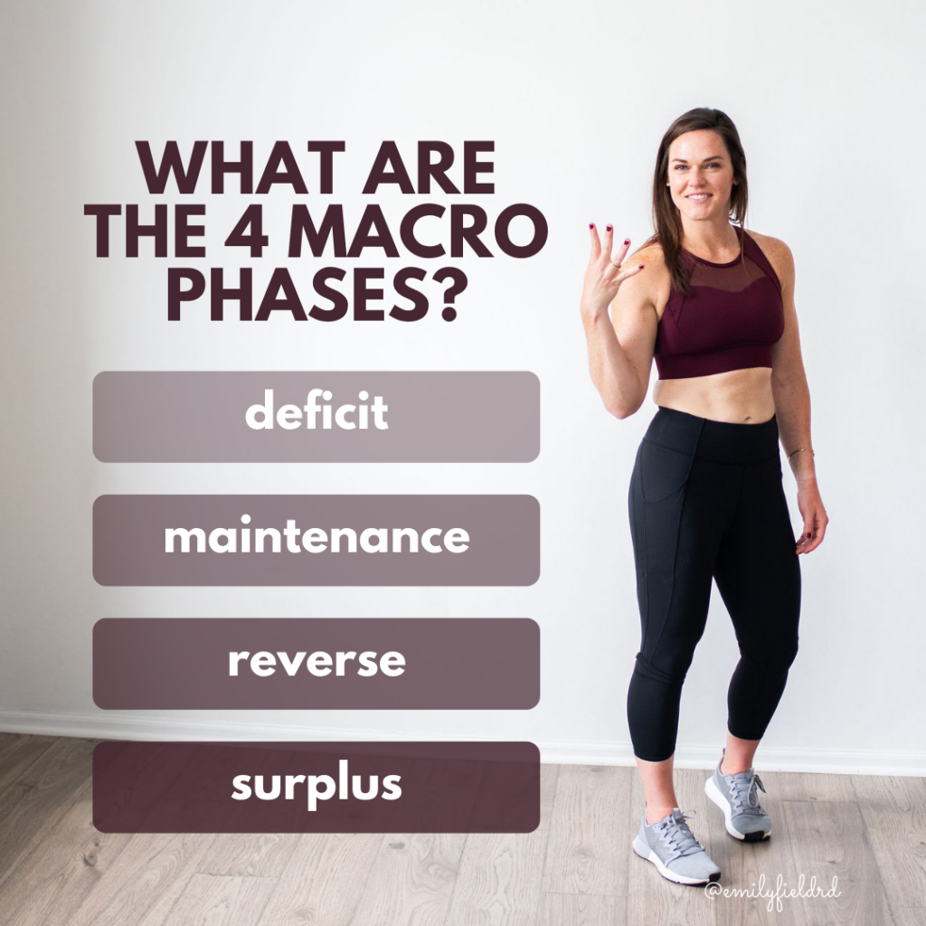 what are the 4 macro phases? - Emily Field RD